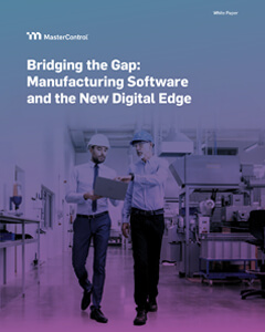 Bridging the Gap and Manufacturing Software and the New Digital Edge