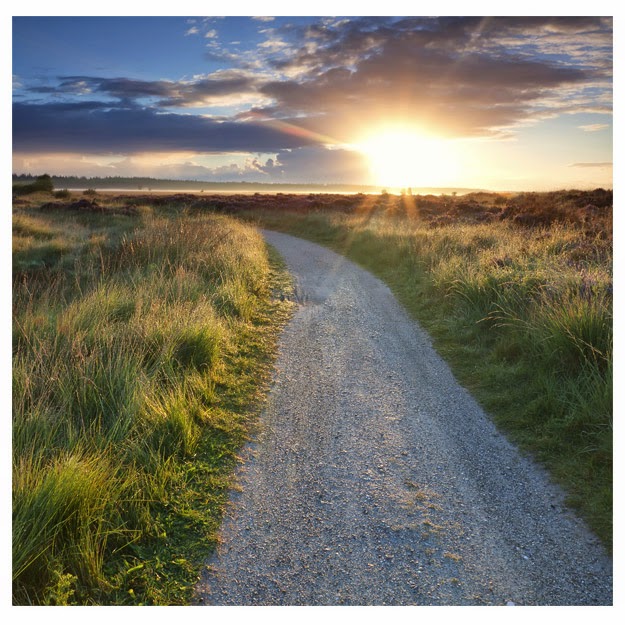 GxP Lifeline | MasterControl