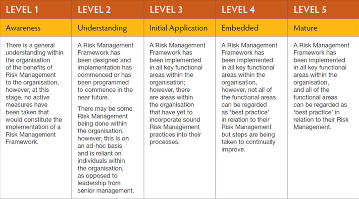 Risk Management Systems and Measuring the Outcomes